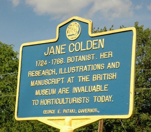 Women are Phenomenal | The Art of Autism