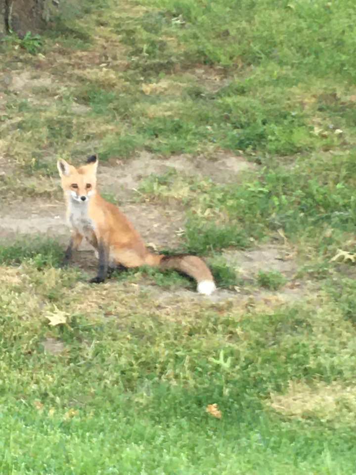 7 Ways to Prevent Autistic Burnout | The Art of Autism